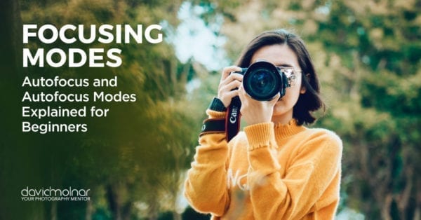 Autofocus and Autofocus Modes Explained for Beginners - David Molnar ...