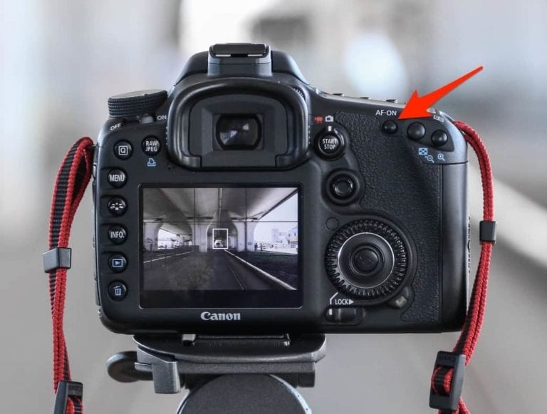 Back Button Focus: The Secret to Crisp Photos Every Time – David Molnar ...