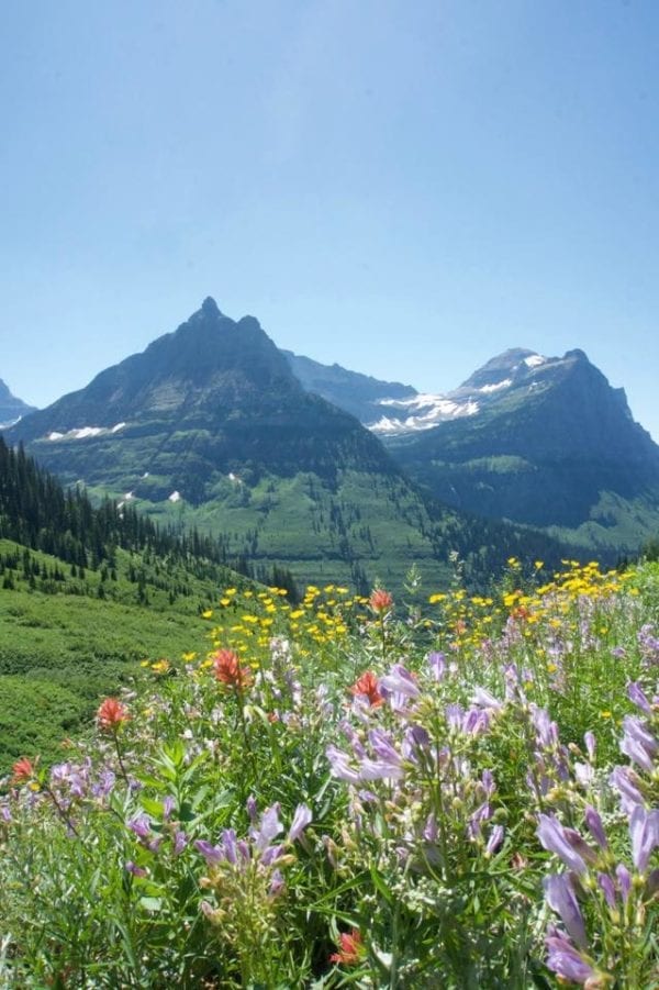 A Few of My Favorite Student Photos – David Molnar – Your Photography ...