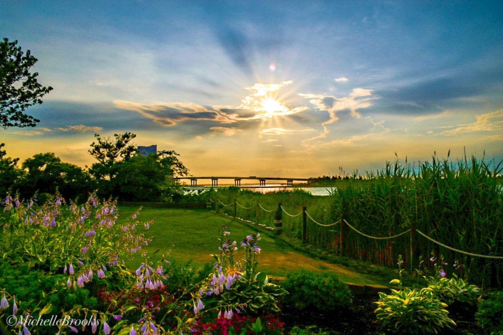 Autofocus and Autofocus Modes Explained for Beginners – David Molnar ...