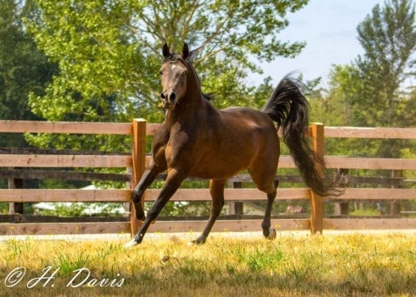 How to Freeze Motion in Your Photos Like a Pro – David Molnar – Your ...