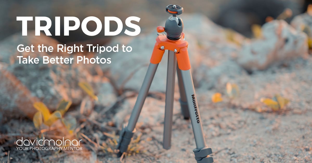 What Kind of Tripod is Right for You? – David Molnar – Your Photography ...
