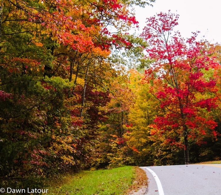 Capture Your Best Fall Foliage Photos Ever with These Tips – David ...