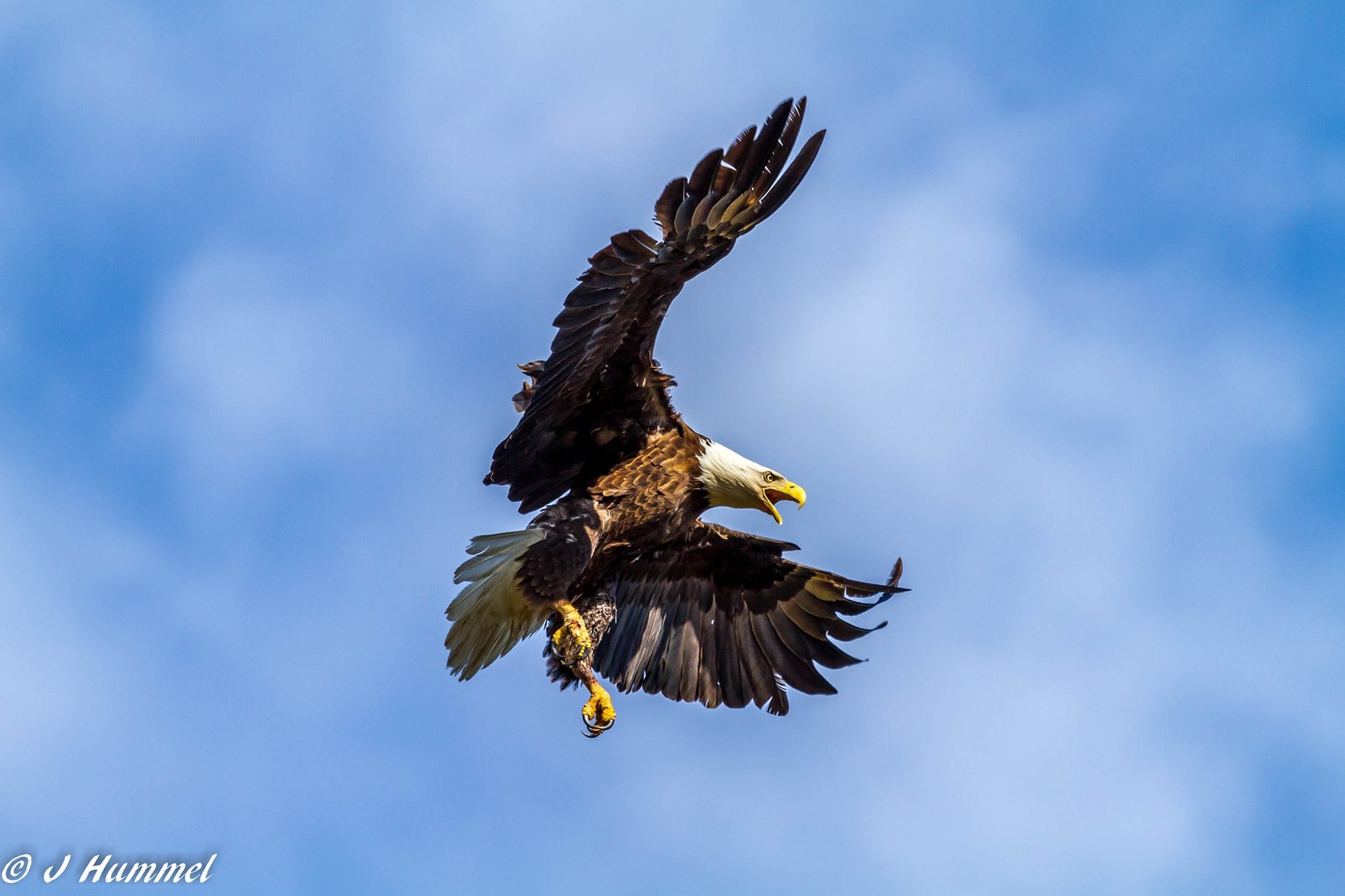 Everything to Know About Shutter Speed