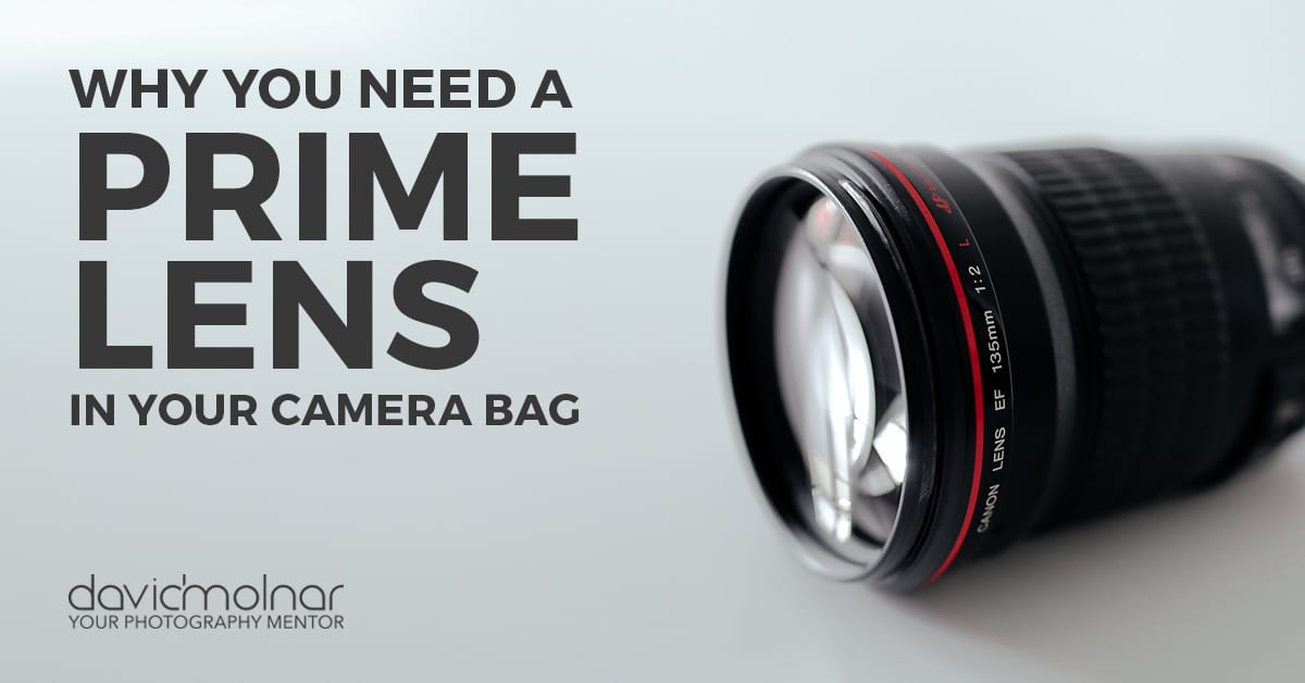 Why You Need a Prime Lens in Your Camera Bag – David Molnar – Your ...