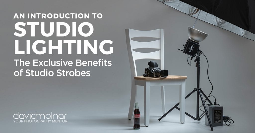 An Introduction to Studio Lighting – David Molnar – Your Photography Mentor
