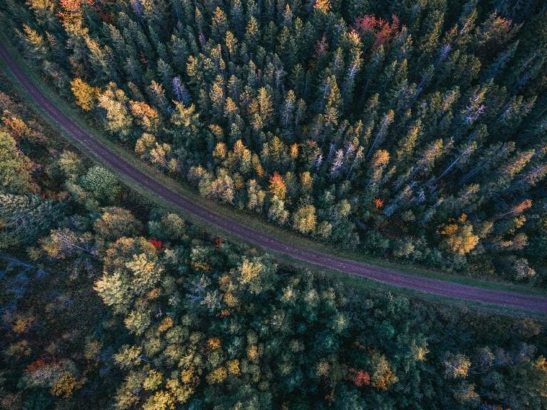 Capture Your Best Fall Foliage Photos Ever with These Tips – David ...