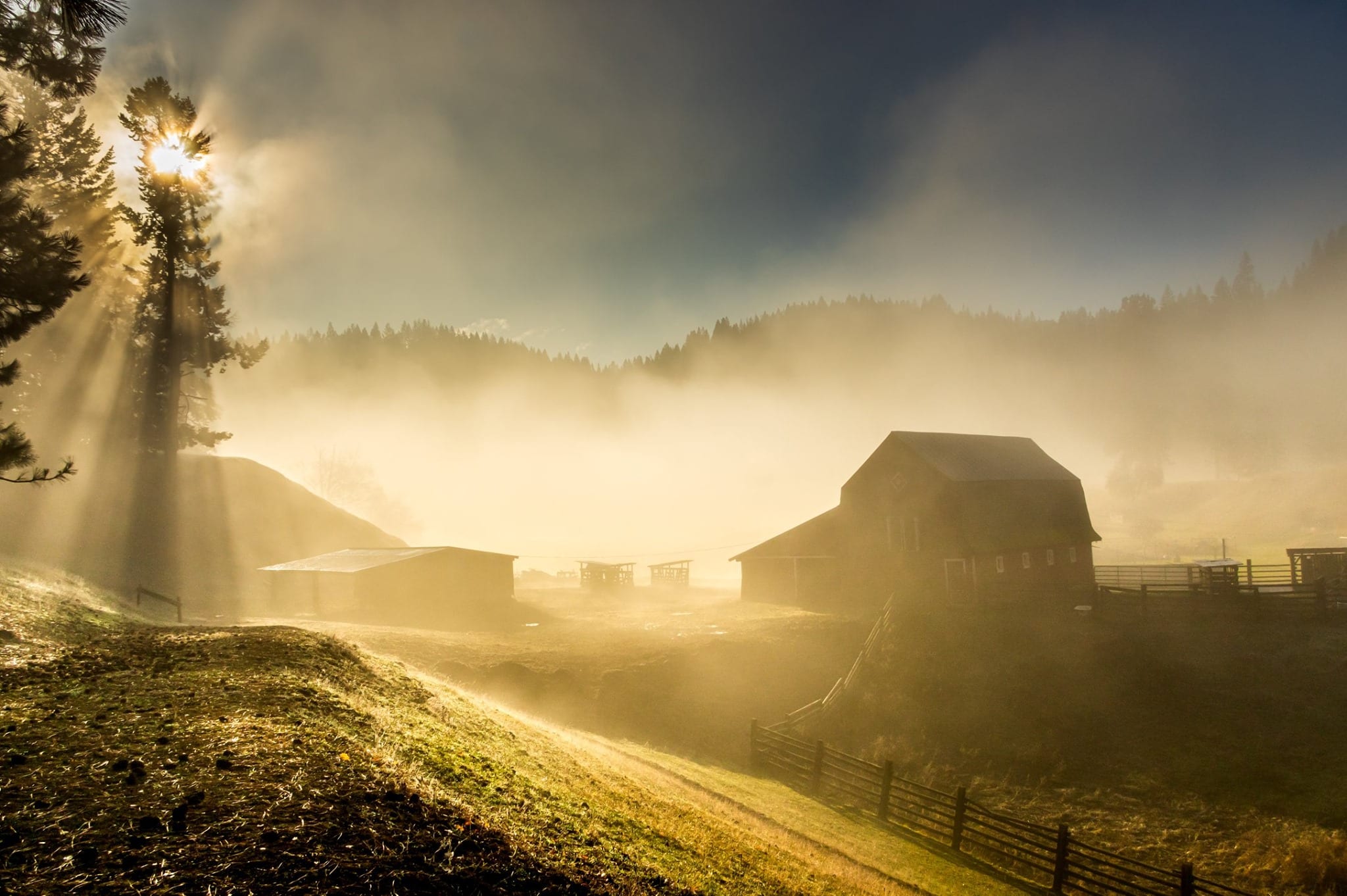 Best of 2019 - David Molnar - Your Photography Mentor