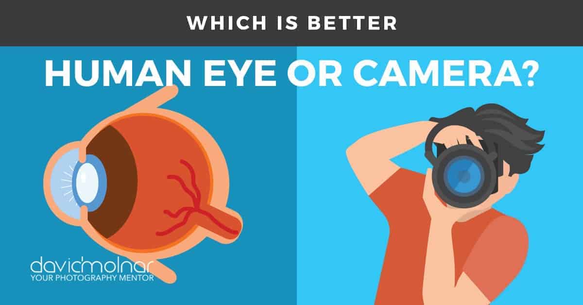 Which is Better: Human Eye or Camera? – David Molnar – Your Photography ...