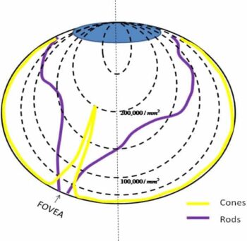 Which is Better: Human Eye or Camera? – David Molnar – Your Photography ...
