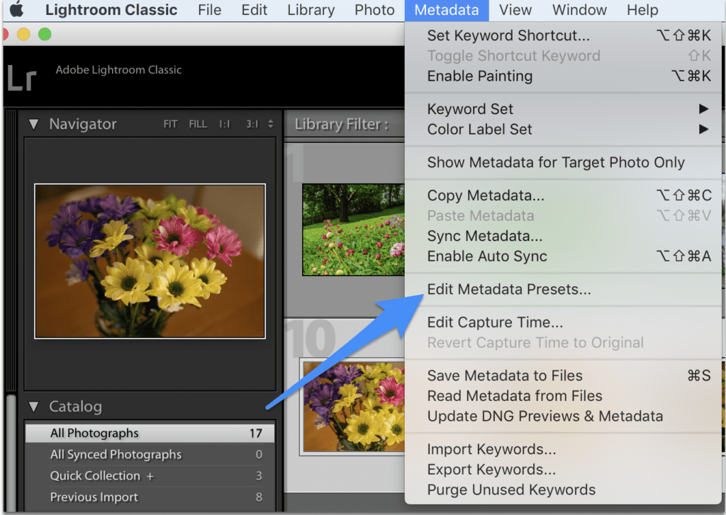How to Add Metadata to Your Photos - David Molnar - Your Photography Mentor