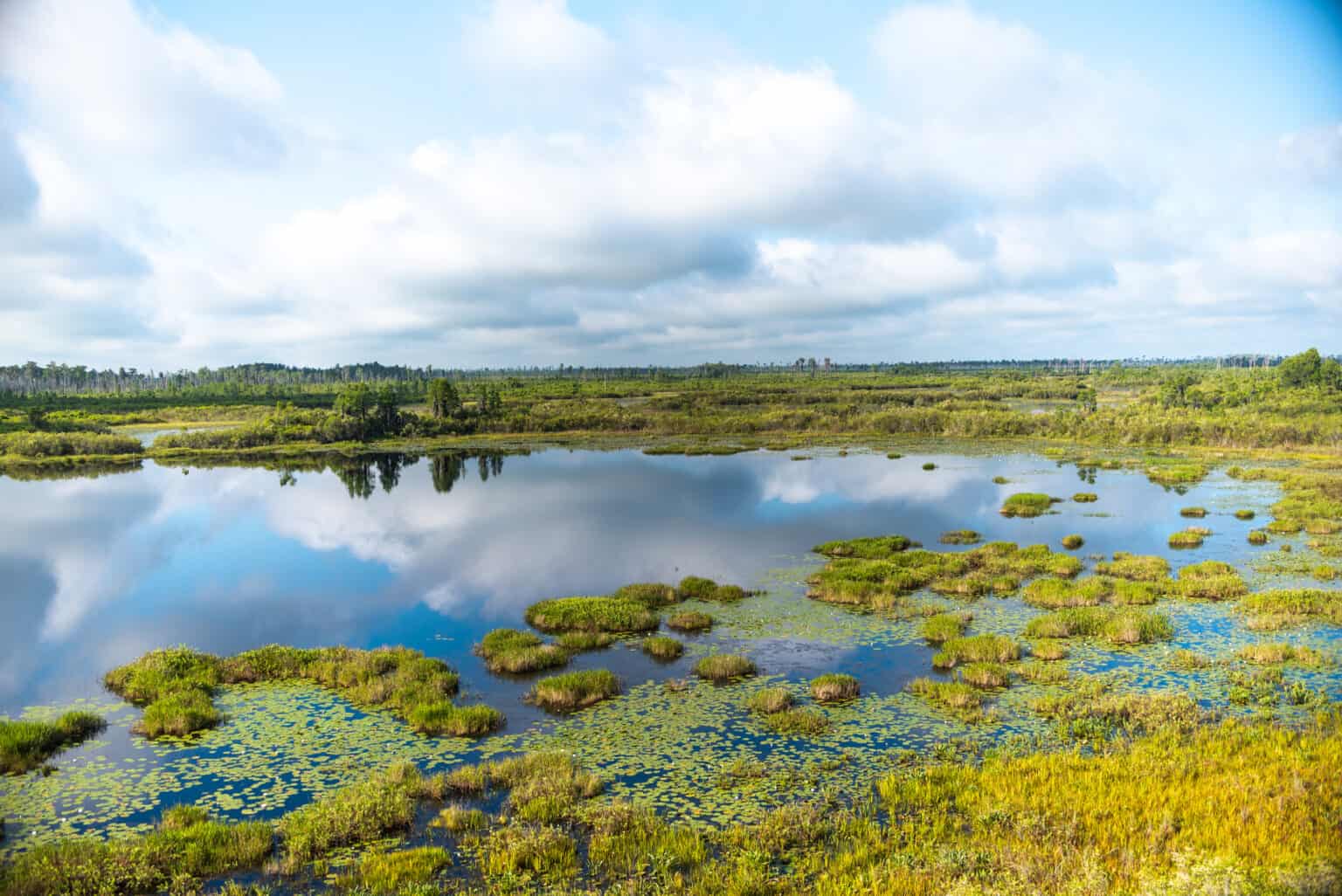 Help! Why is My Lens Vignetting? – David Molnar – Your Photography Mentor