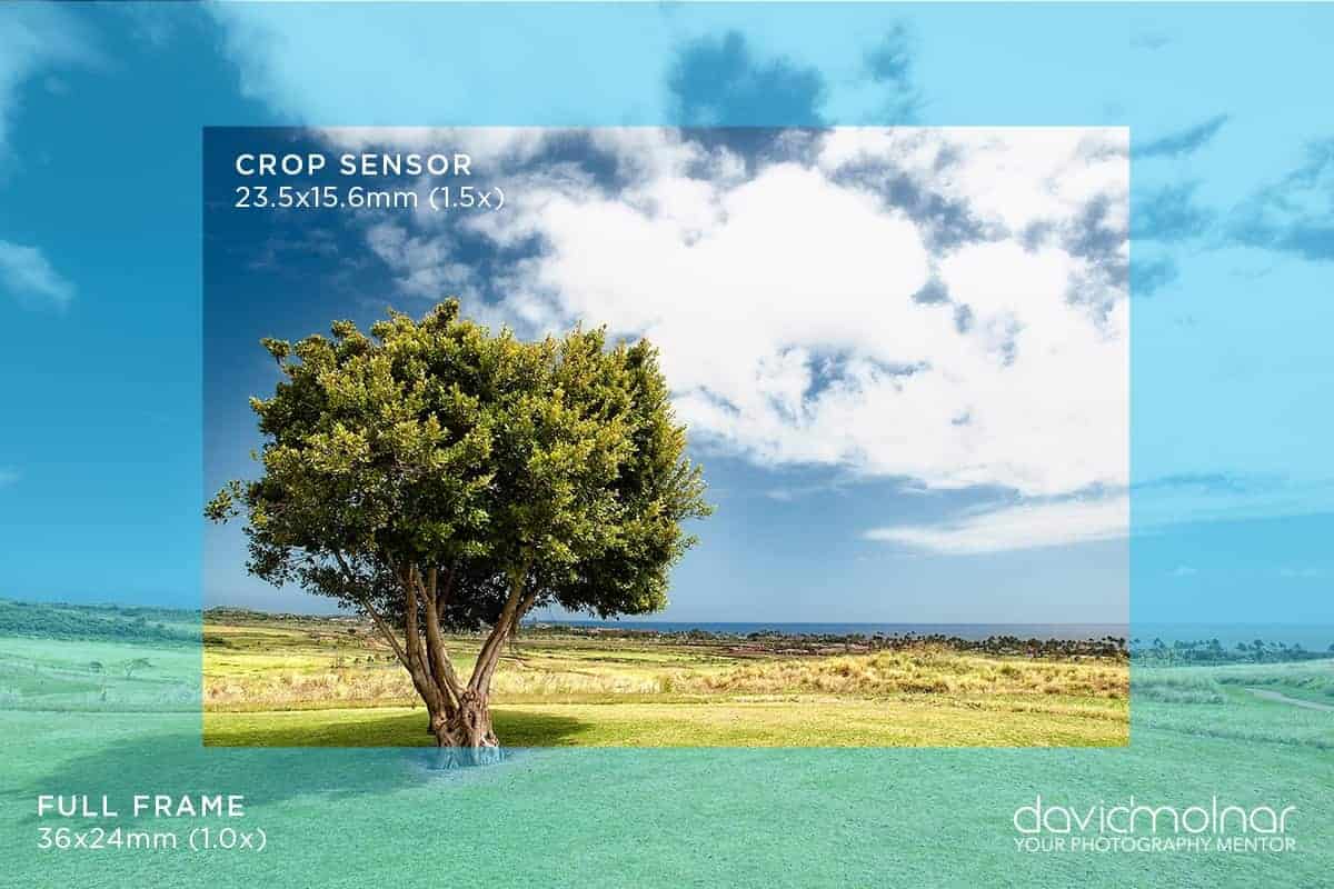 Help! Why is My Lens Vignetting? – David Molnar – Your Photography Mentor