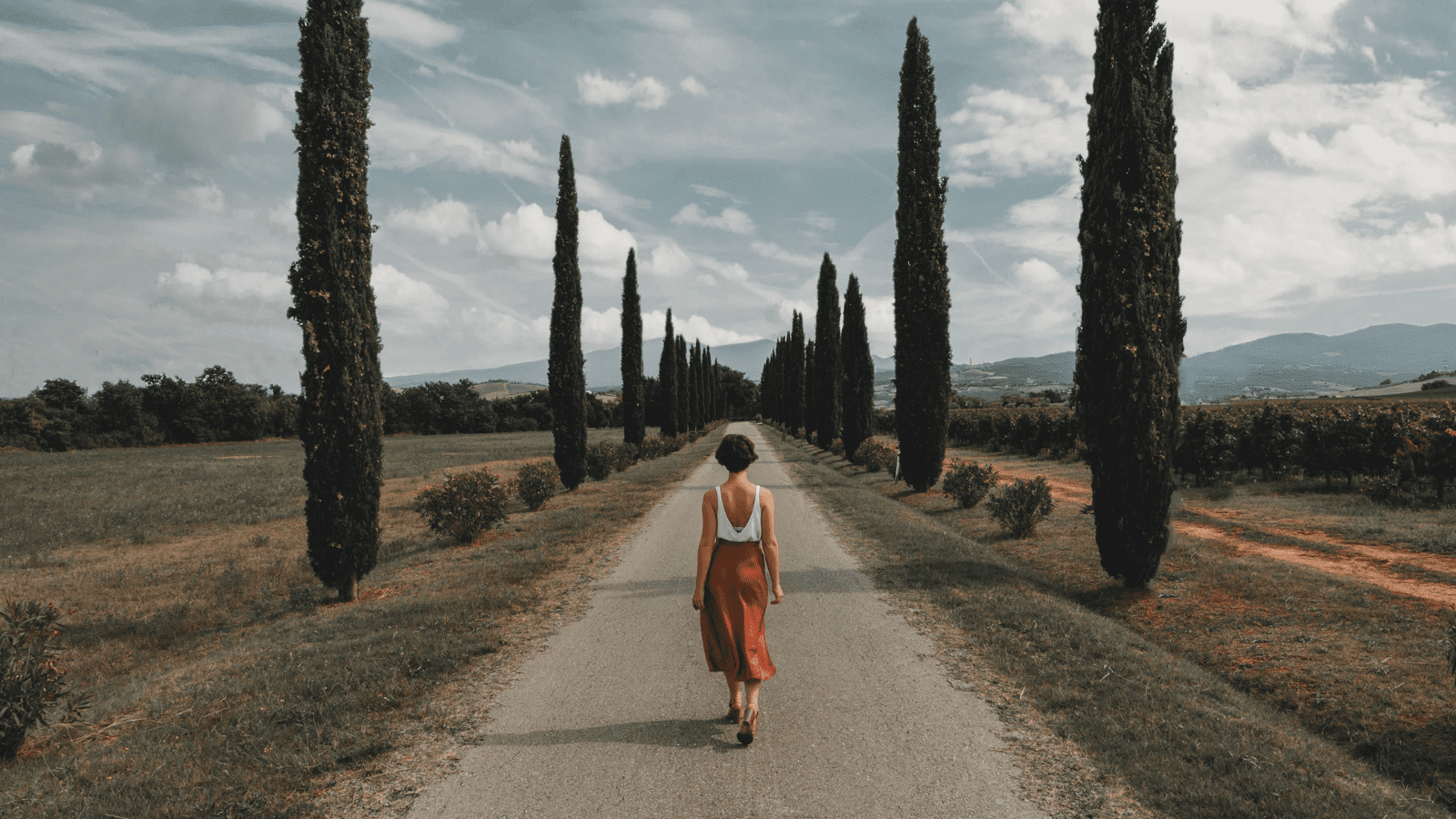 How To Use Leading Lines – David Molnar – Your Photography Mentor