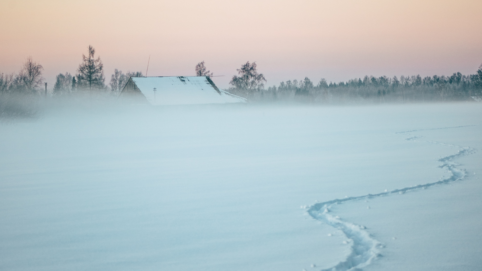 What to Shoot in Winter – David Molnar – Your Photography Mentor