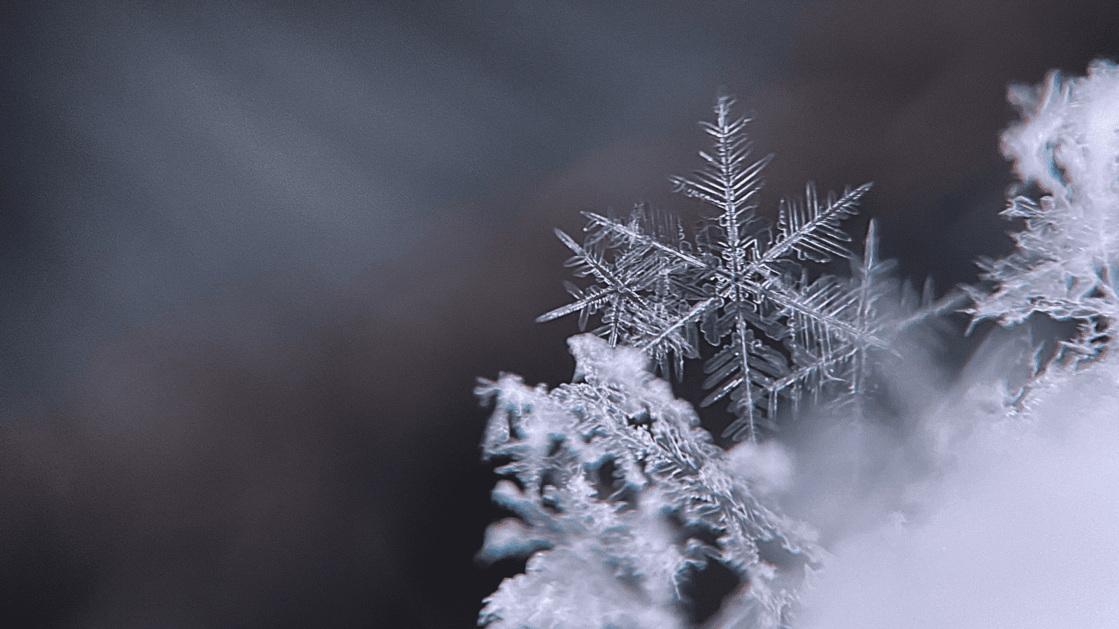 What to Shoot in Winter – David Molnar – Your Photography Mentor