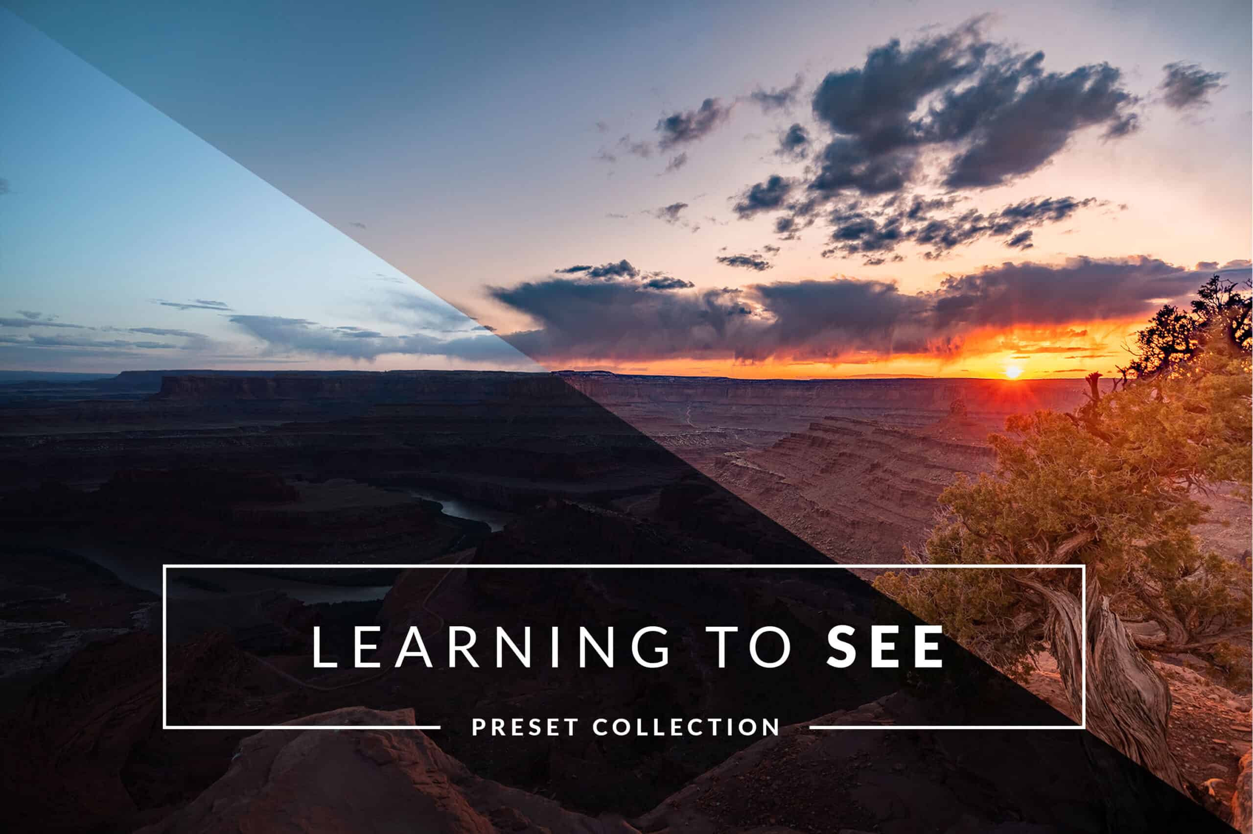 Learning To See Preset Collection – David Molnar – Your Photography Mentor